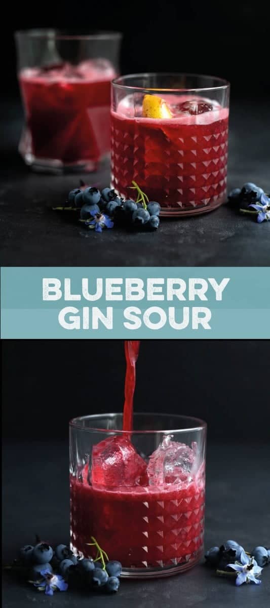 Blueberry Gin Sour cocktail | Supergolden Bakes