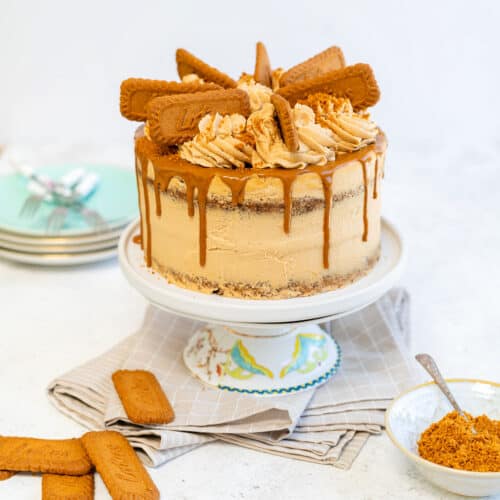 Delicious No Bake Biscoff Bars - Supergolden Bakes